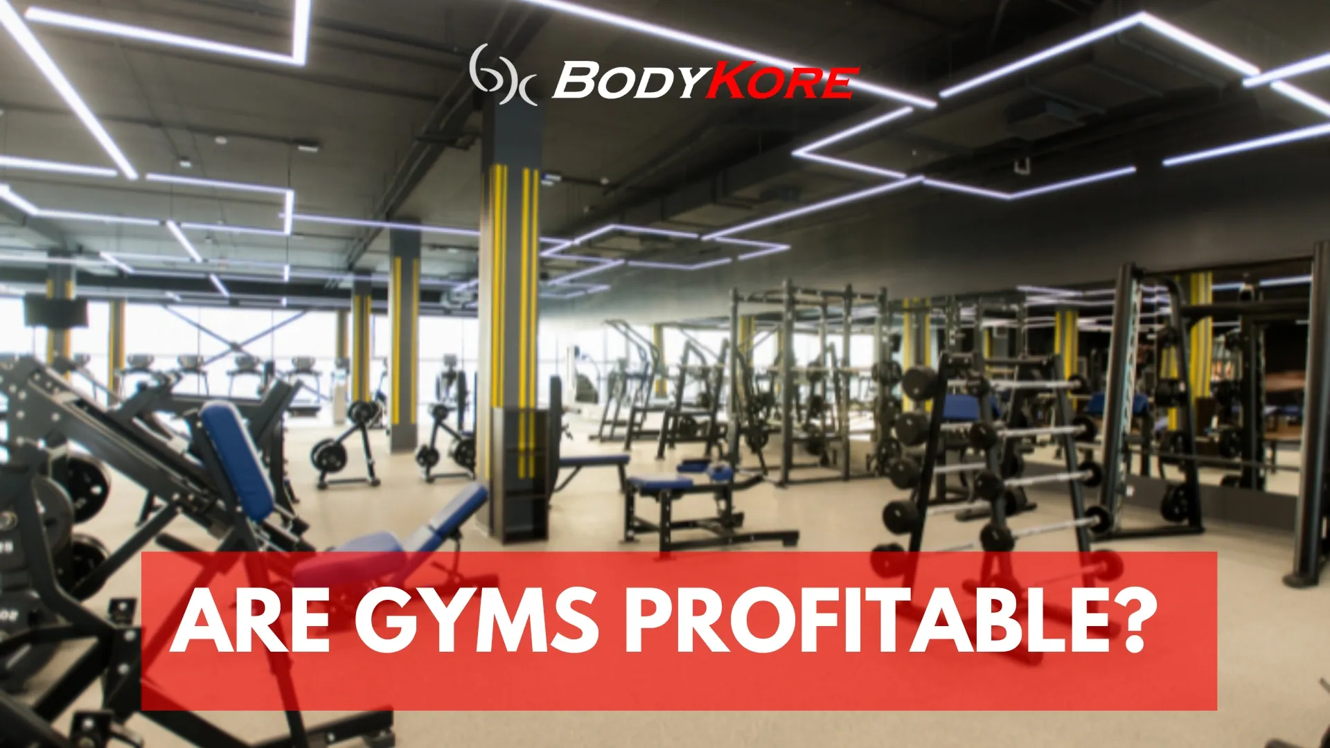 Are Gyms Profitable? A Complete Breakdown | BodyKore