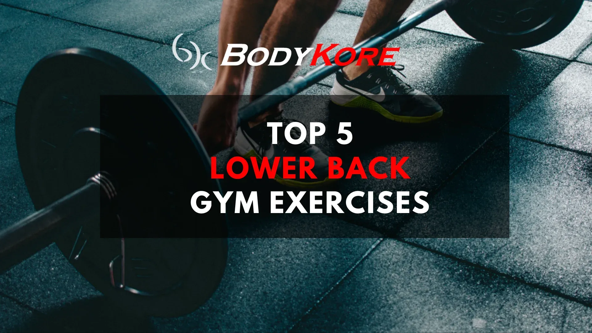 Top 5 Lower Back Gym Exercises for 2024 | BodyKore